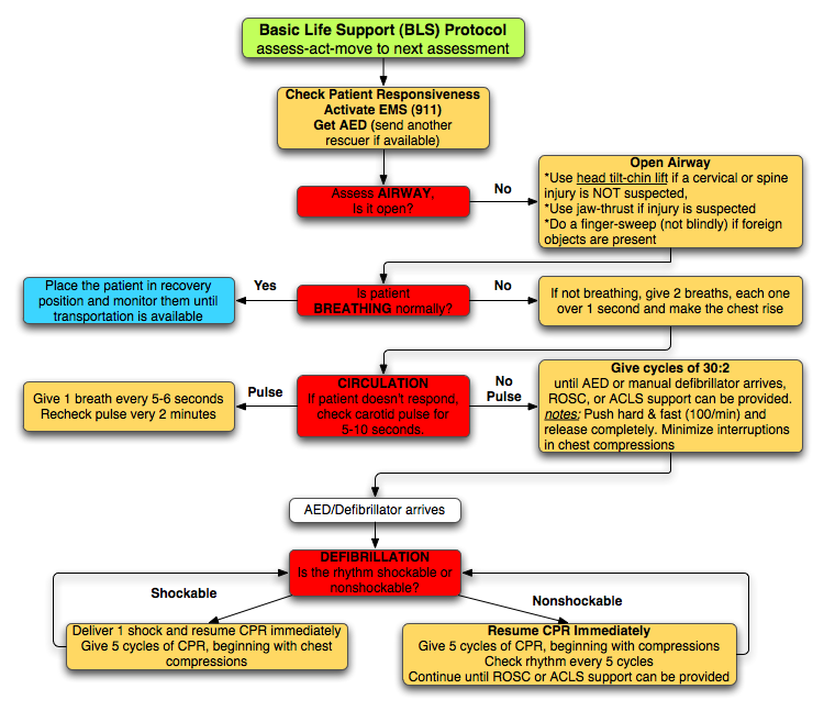 ACLS & PALS Online Preparation Prior to Examination